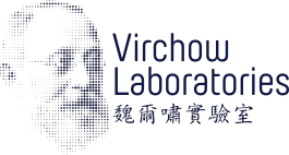 Virchow Laboratories Group – Start page